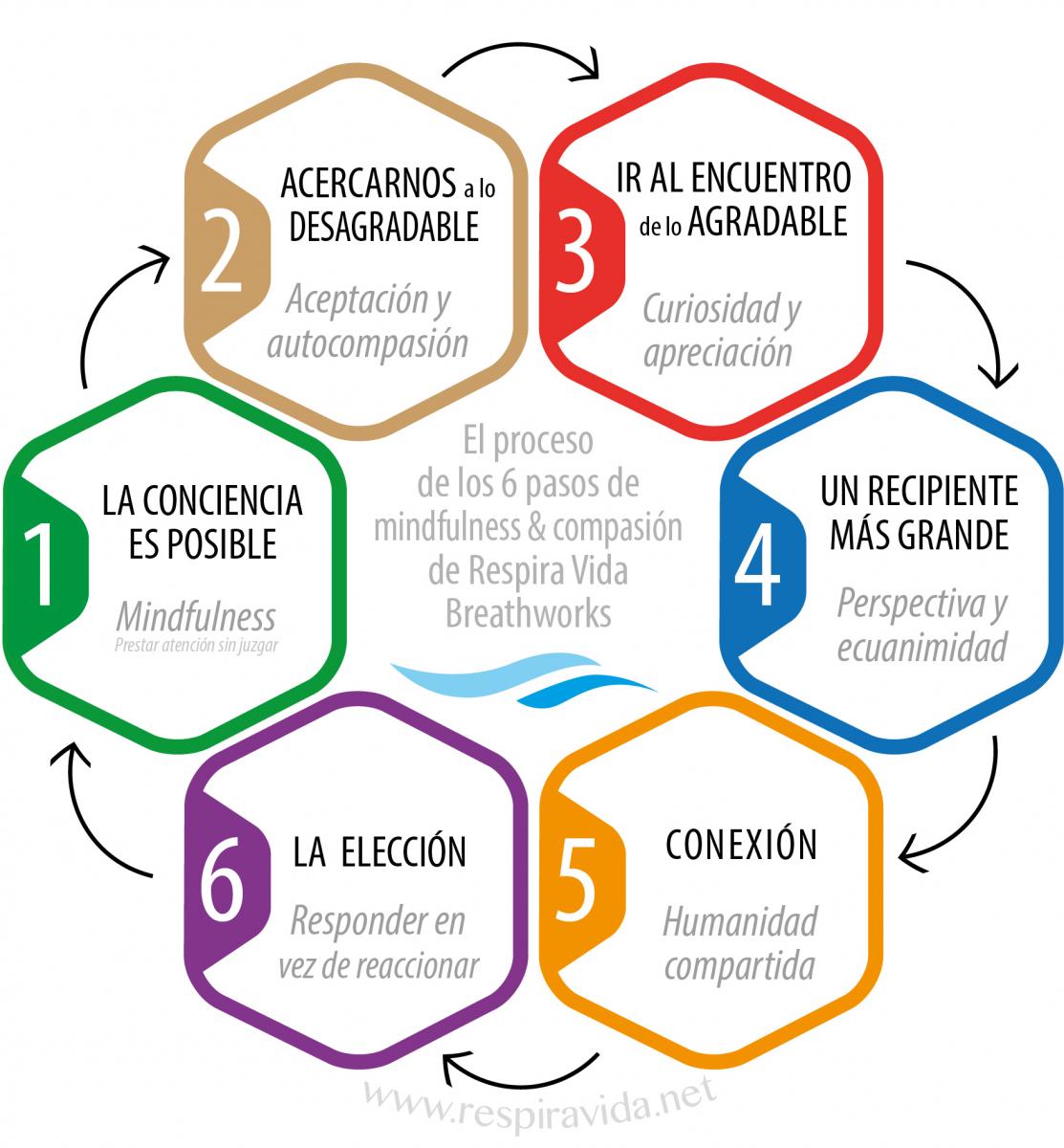 Paso 5 de los 6 pasos de mindfulness & compassion | Respira Vida Paso 5 de los 6 pasos de mindfulness & compassion | Respira Vida